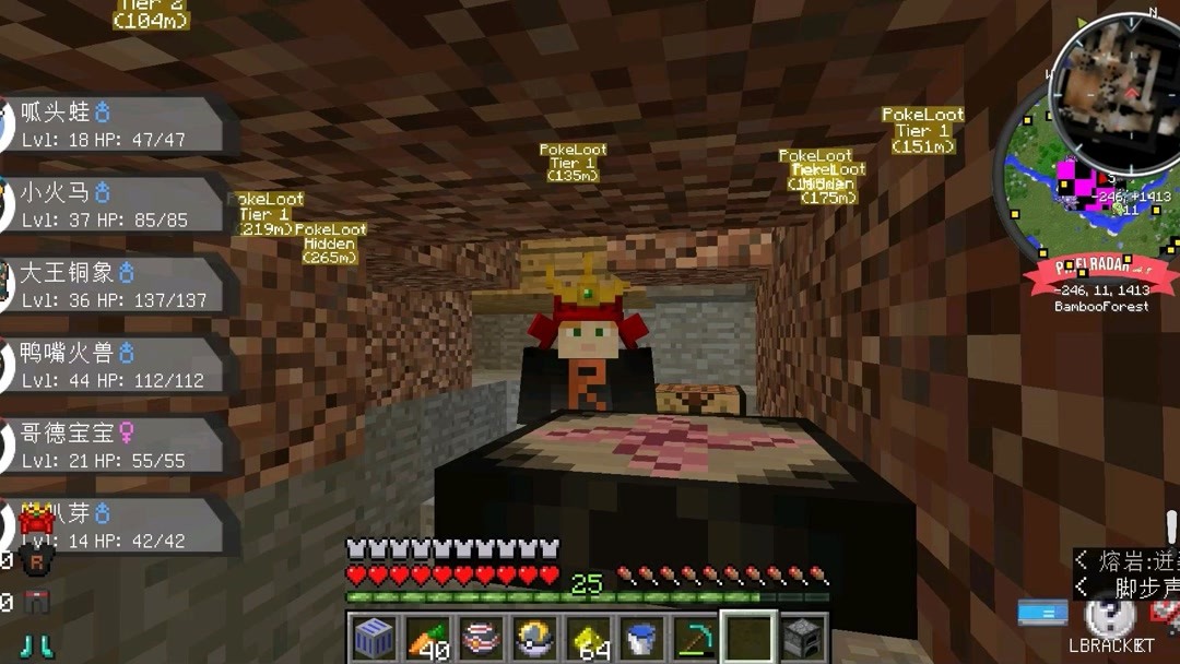 我的世界神奇宝贝第四期:第一只神兽熊徒弟