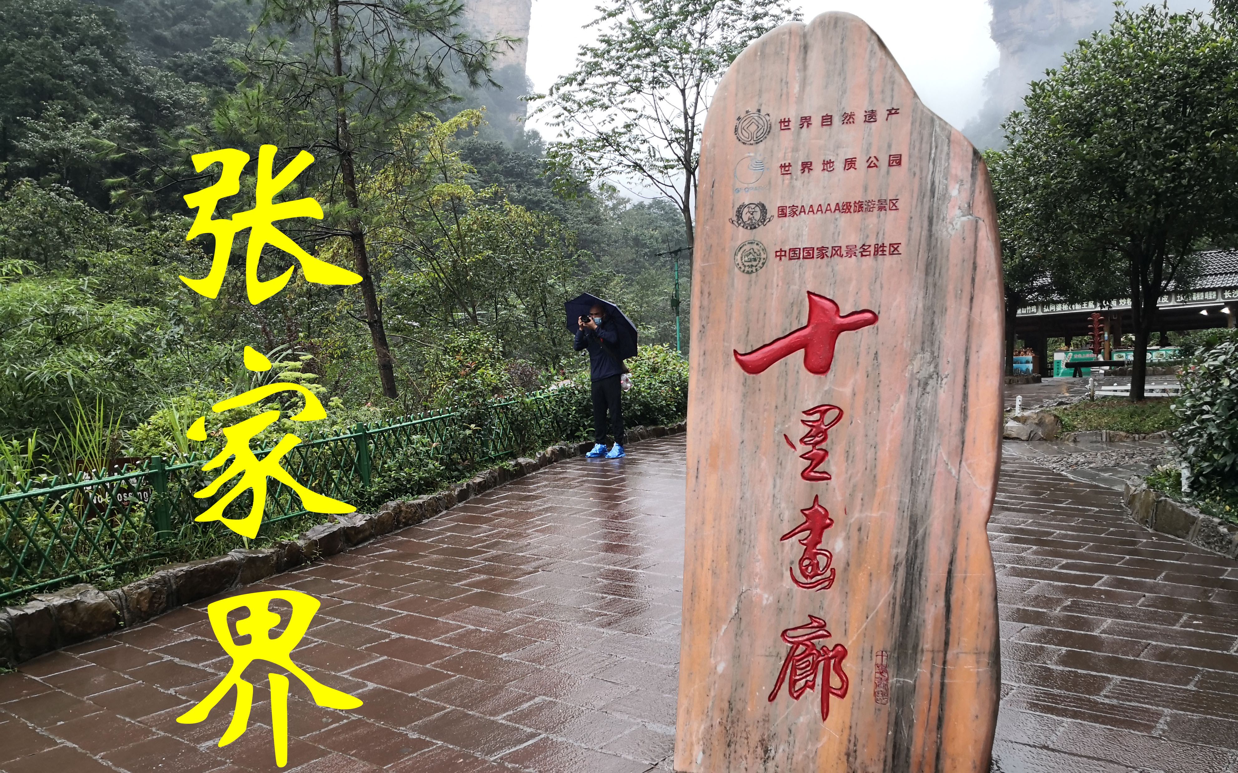 35:张家界十里画廊,“好”一幅自然山水画卷