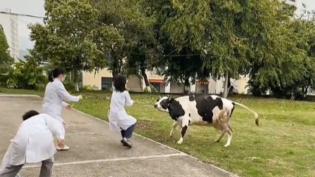 农学专业学生的“毕业论文”跑了,这是一场学术的“追逐赛”