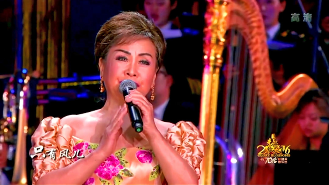 歌曲《乡恋》演唱:李谷一