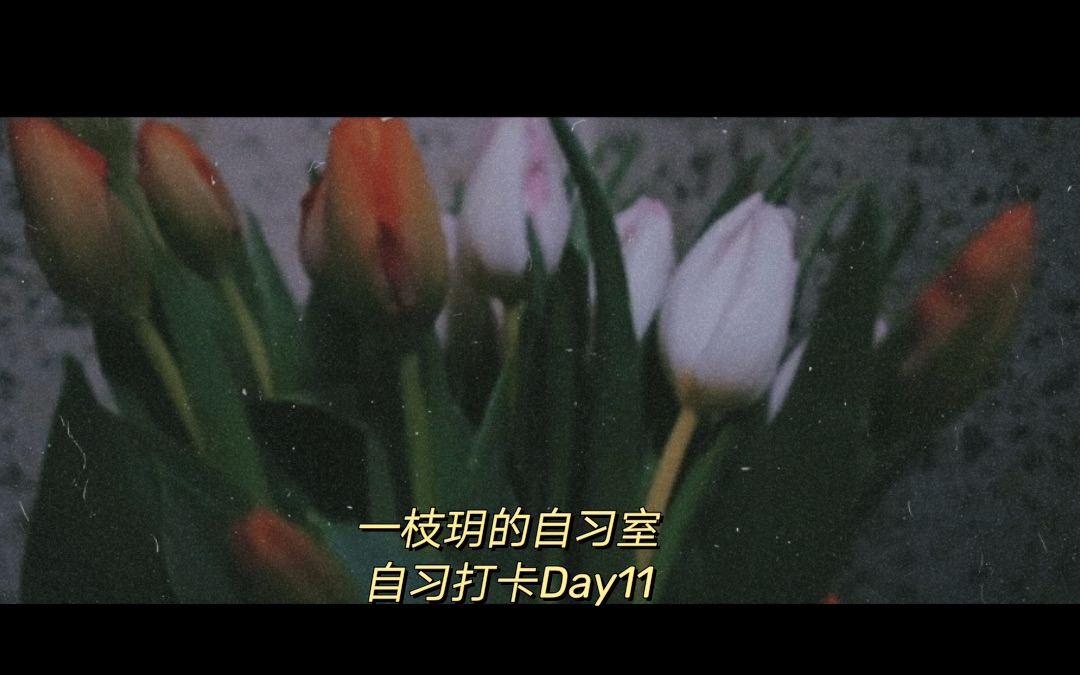 学习打卡Day11|听课做笔记