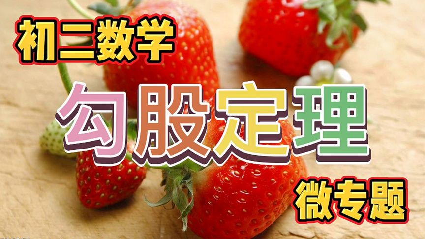 勾股定理专题(判定直角)01利用三边的数量关系说明直角