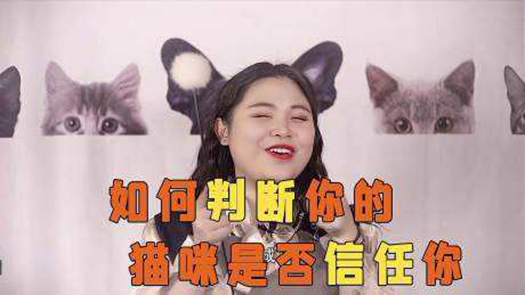 如何判断你的猫咪是否信任你