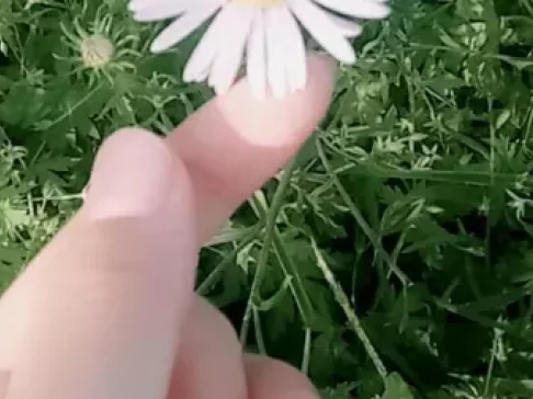 三整式的加减: 2代数式