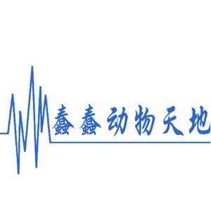 蠢蠢动物天地 