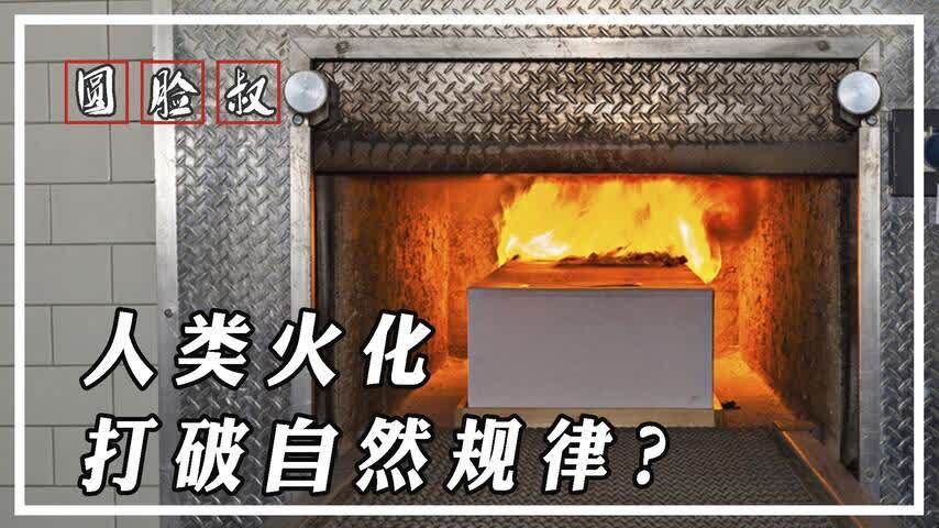 动物死后都会生态循环,人类火化打破自然规律?质量还会守恒吗?