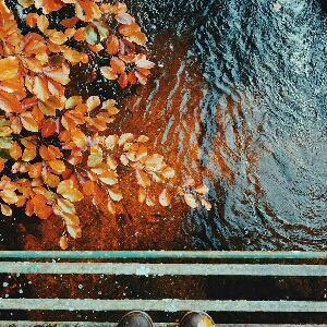 曾经沧海难为雨 