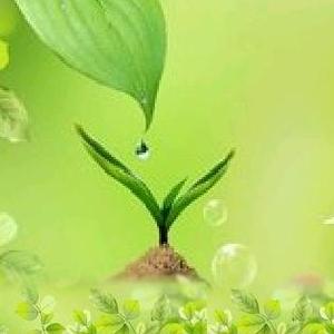 静待花开以梦为马 