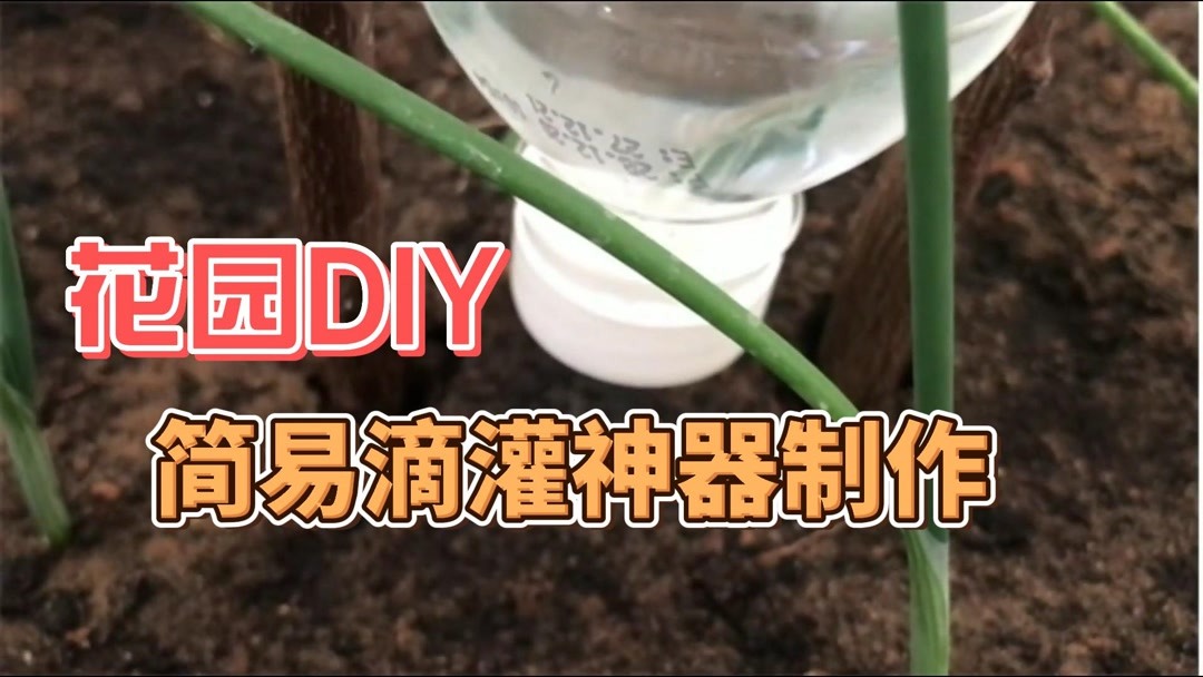 花园diy 简易滴灌神器制作