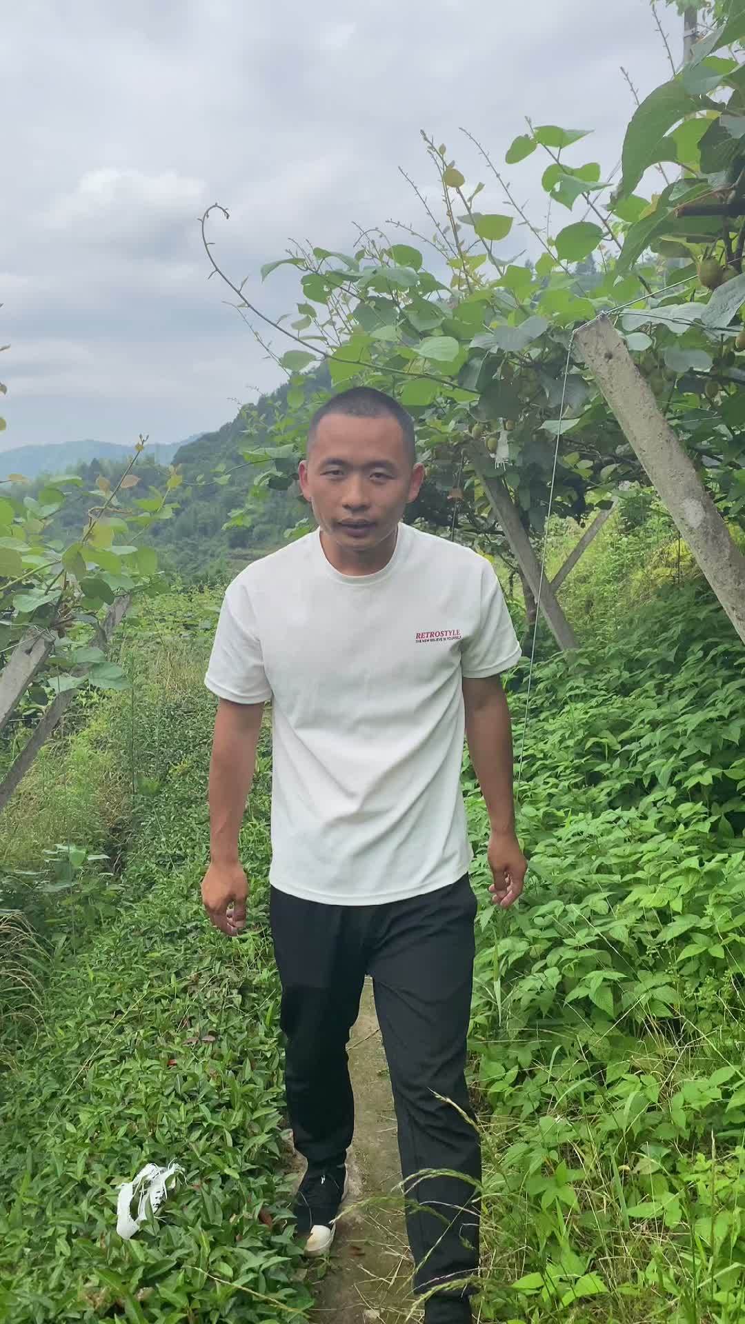 .奢望太多一亩良田一间小屋一亿存款父母长寿健康记录猕猴桃生长过程