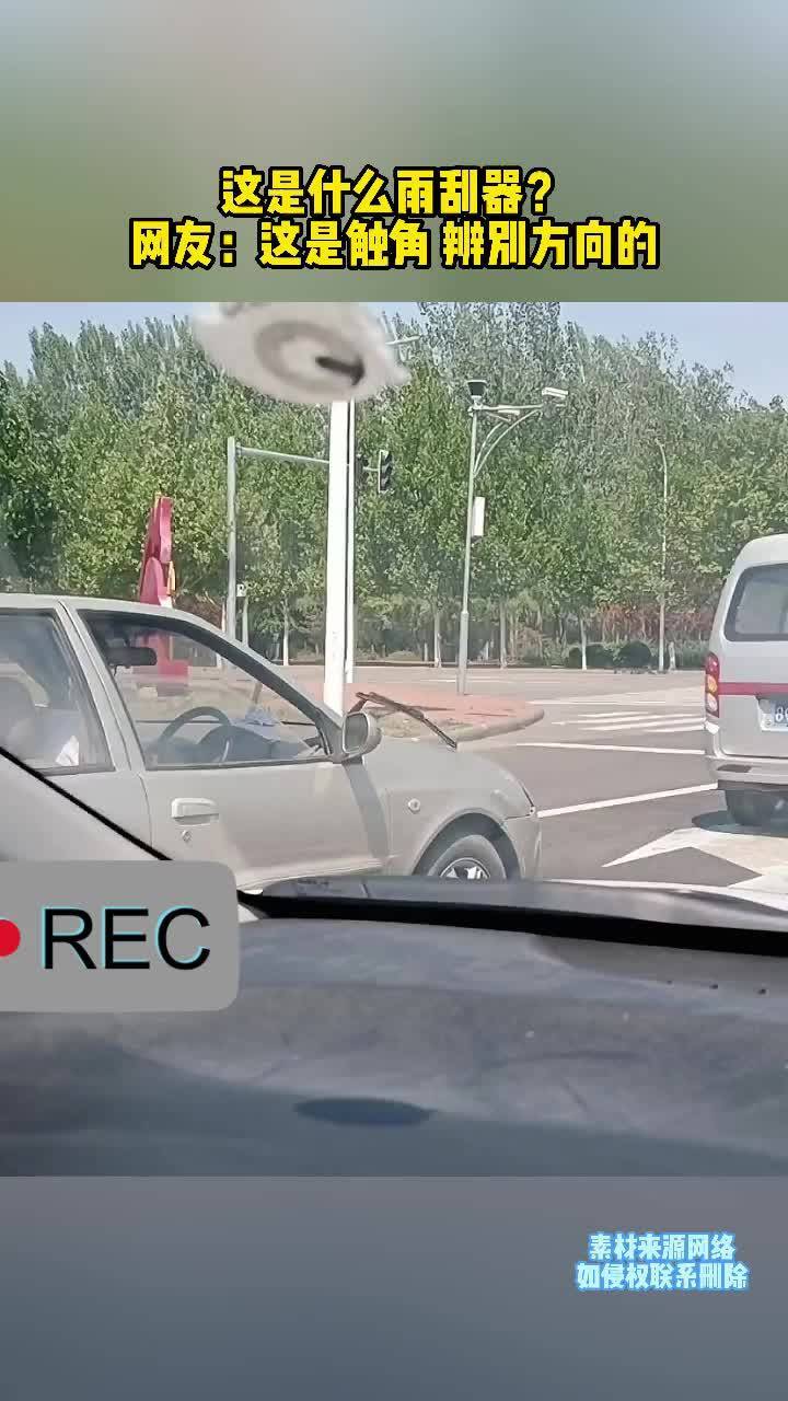 这是什么雨刮器?网友:这是触角 辨别方向的