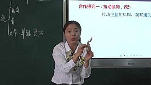 初中生物人教版八年级上册第一节《动物的运动》四川省 - 泸州_...