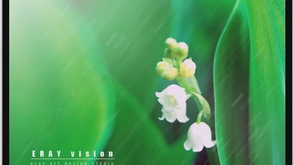 ps新手教学—打造雨天效果