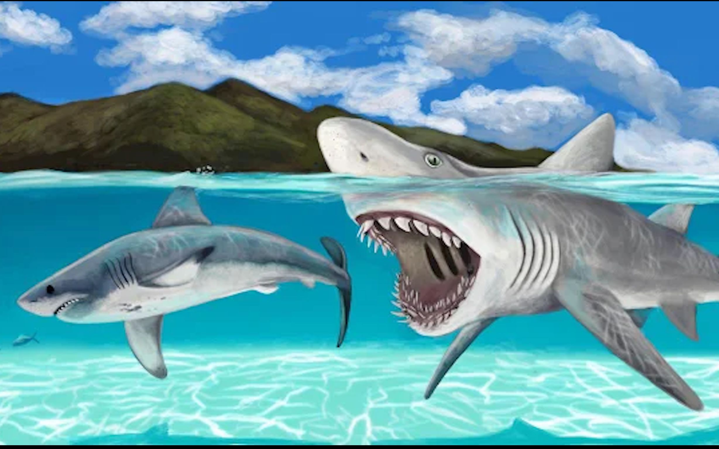 顶级杀手也要会苟?大白鲨与巨齿鲨的托儿所