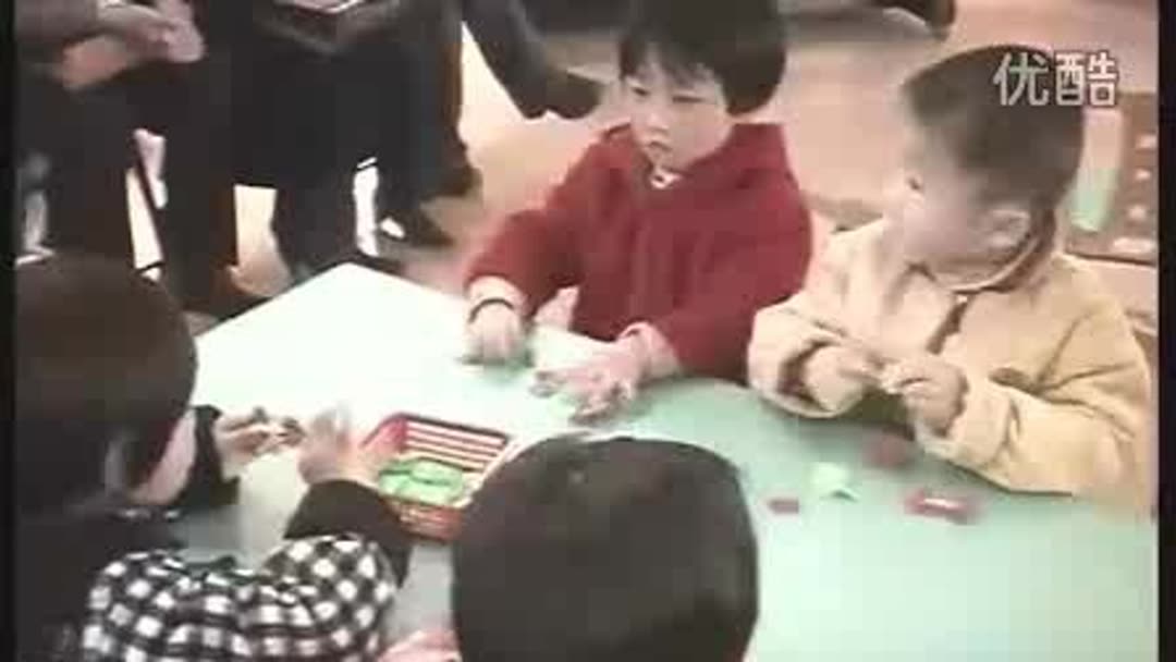幼儿园中班科学优质课视频展示《按规律排序》