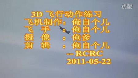 模型飞机 3D 练习飞行