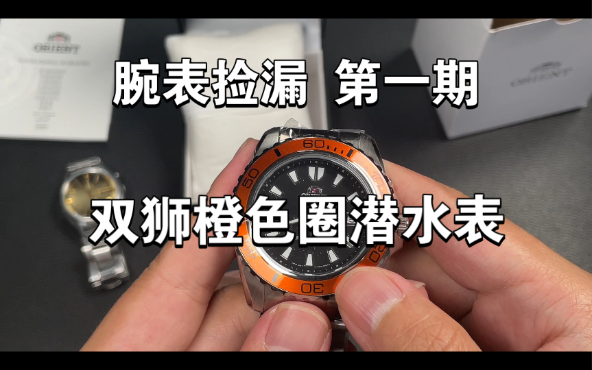 腕表捡漏 双狮的潜水腕表,海马平替