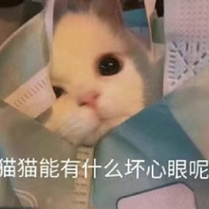 乌冬柠檬面不加醋 