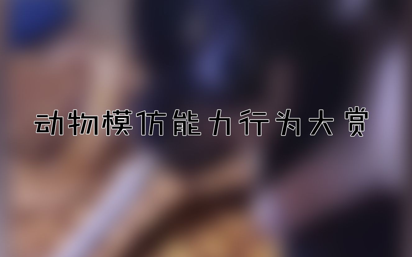 动物模仿能力行为大赏