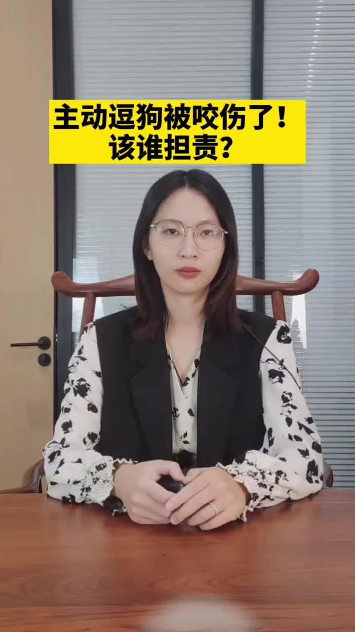 主动逗狗被咬伤了!该谁担责?