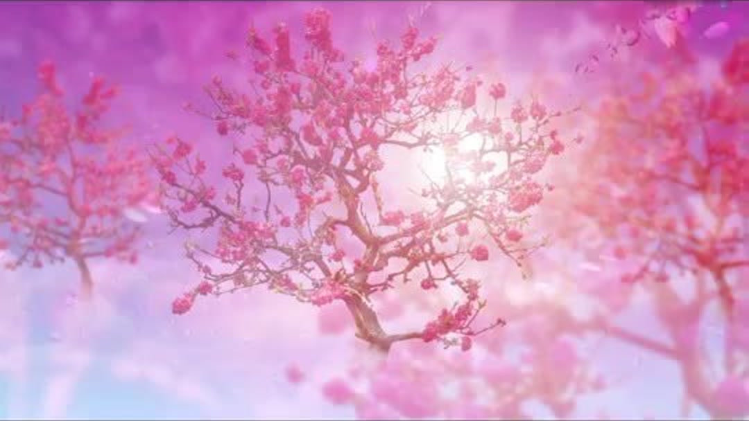 艳丽花瓣飞舞渲染梅花树梦幻场景花朵盛开生长LED背景视频素材