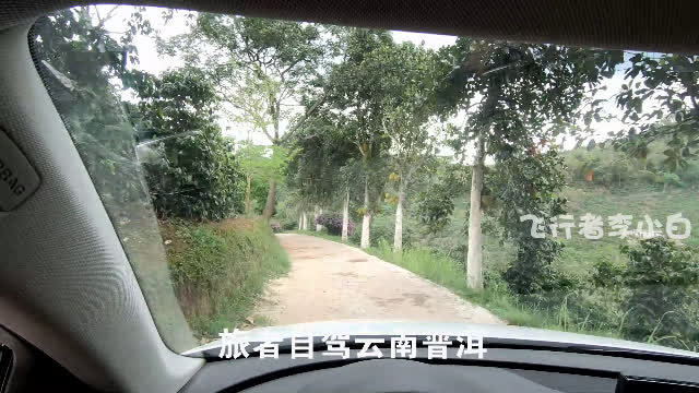深山里的云南小粒咖啡庄园,免费喝咖啡?