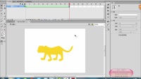 FLASH CS6补间形状动画.mp4