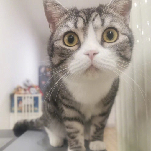 杭州增长黑客联盟 