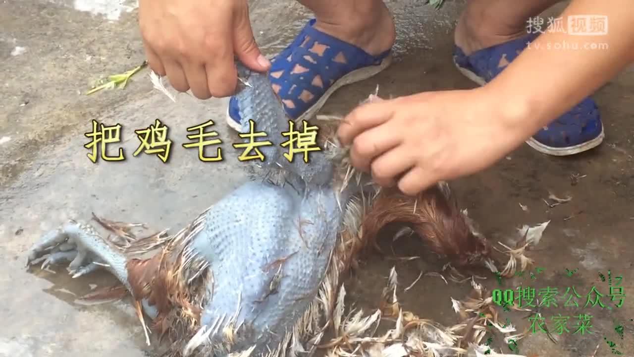 农家菜菜谱之白斩鸡