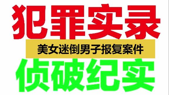 美女 迷 倒男子报 复案件,案件侦破纪实,天网恢恢疏而不漏