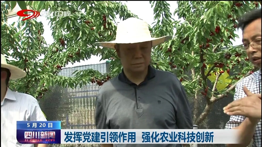 发挥党建引领作用 强化农业科技创新