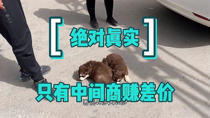 任何平台都有中间商赚差价