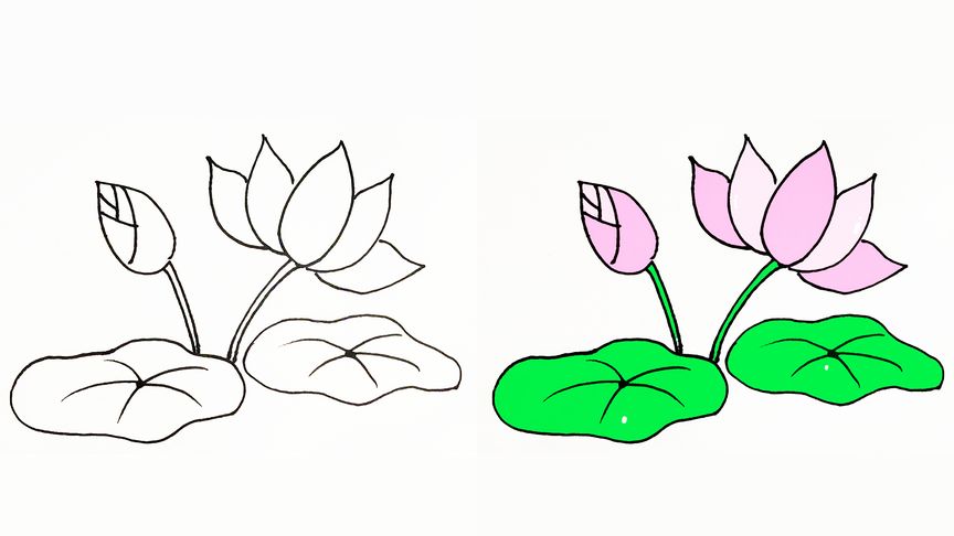 儿童简笔画教程|几分钟学画卡通荷叶荷花,是不是很简单呢?
