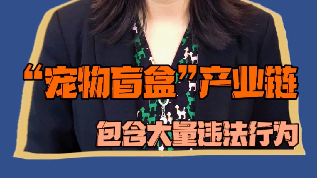 “宠物盲盒”产业链