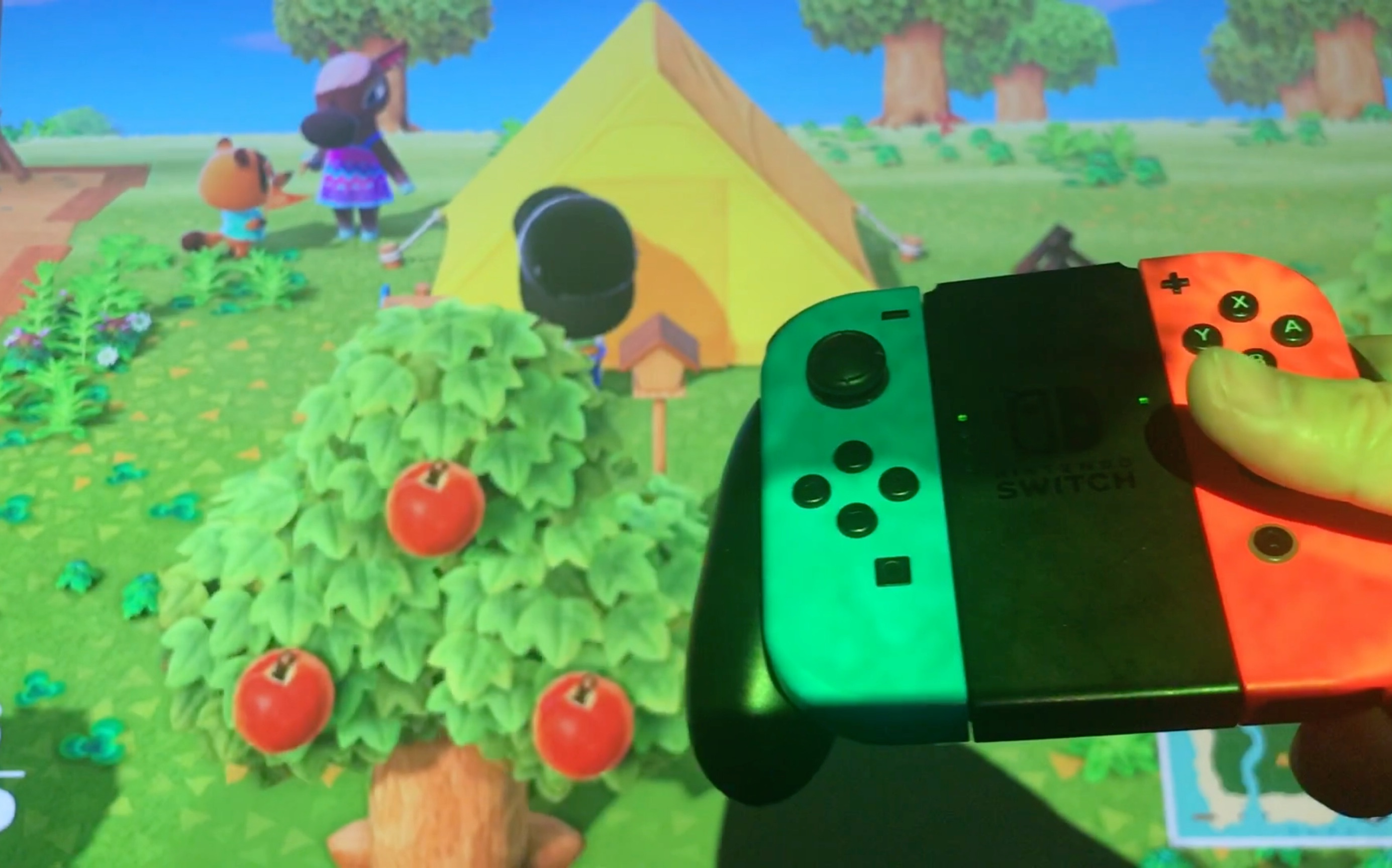 switch动物之森第3天!哇靠,又挖了个蛤蜊!投影60帧拍摄