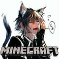 帅帅哒的夜猫 