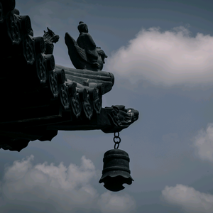 武当尘缘 