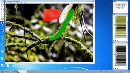 photoshopCS5--Mask Pro抠图技巧合成