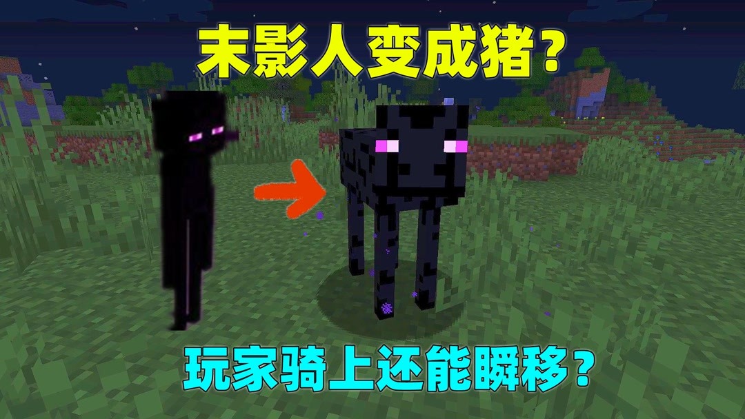 我的世界:末影人变成猪?拥有双重生物特性,还能制作瞬移药水!