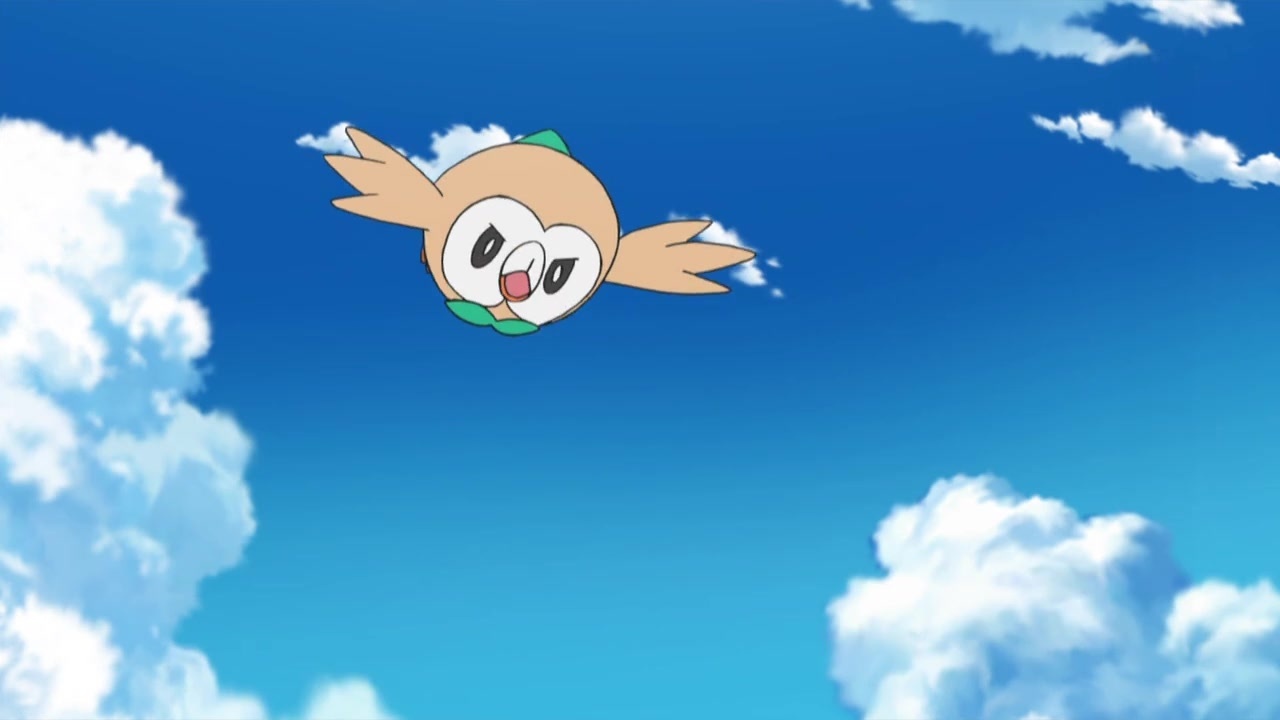 精灵宝可梦:木木枭以为皮卡丘被欺负了,直接冲上去救人了!