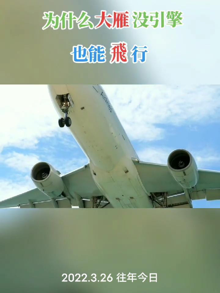 为什么大雁翅膀不动也能飞行?#世界未解之谜 #科普 #大雁 #飞行#飞机