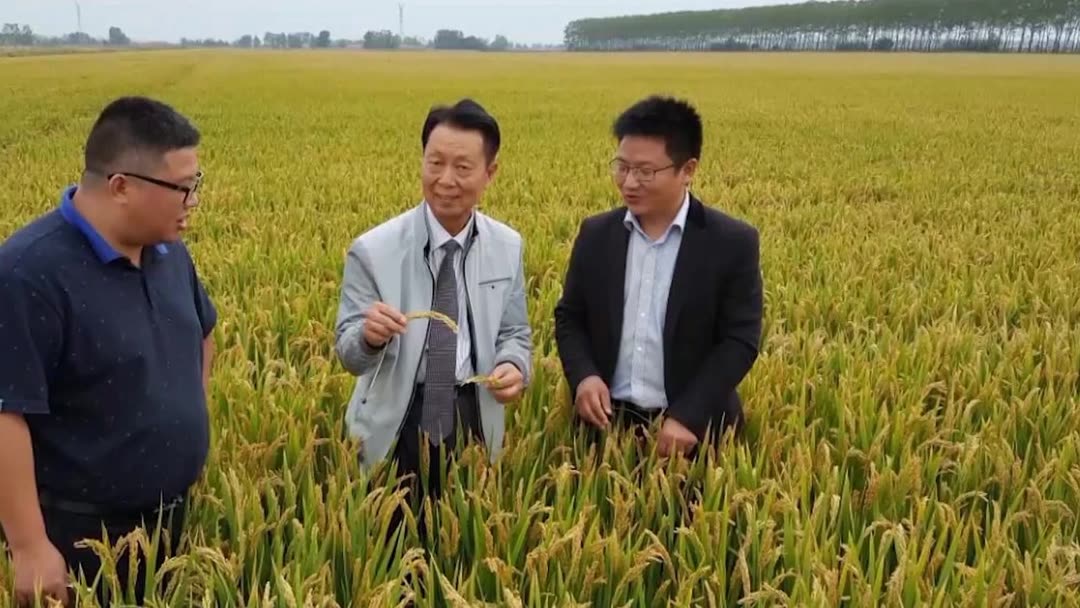 生物农药引领功能农业4.0时代
