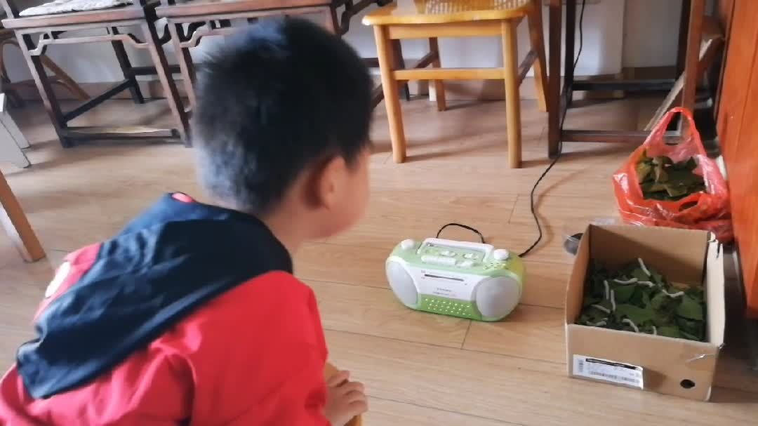 3岁二宝养蚕有妙招,听他怎么说,养蚕让他的.