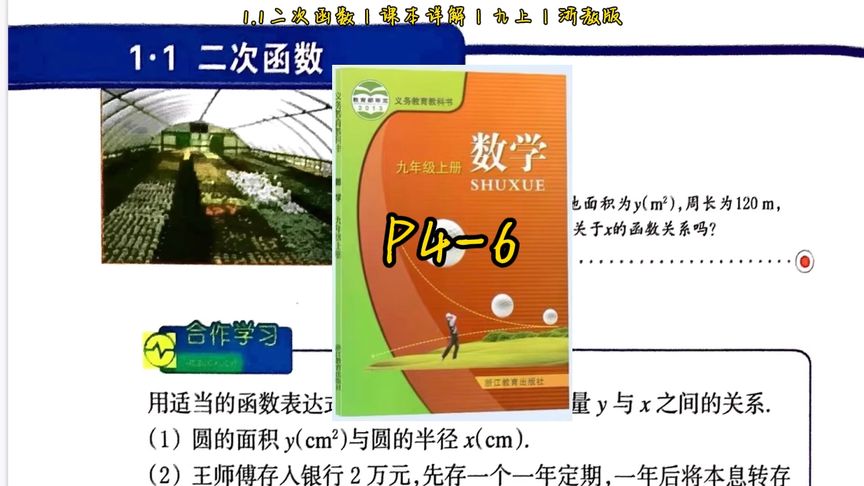 【课本详解】1.1二次函数|九上|浙教版|P4-6