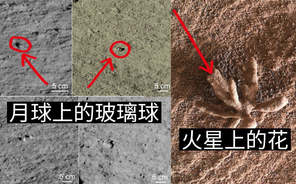 最新发现,火星上居然长出了一朵花,同时月球上发现了透明玻璃球