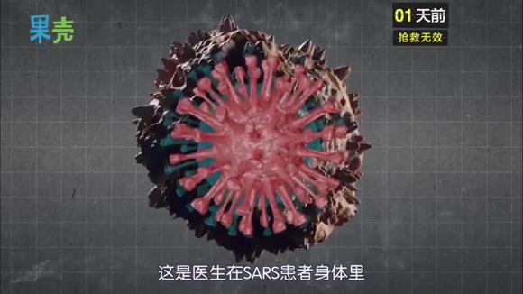 动画:5分钟还原新型冠状病毒感染人体后致死的过程!