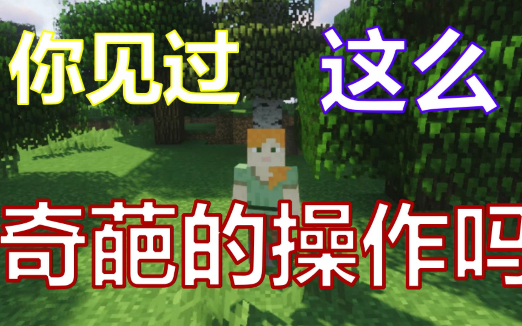 【我的世界】 你见过这么奇葩的操作吗