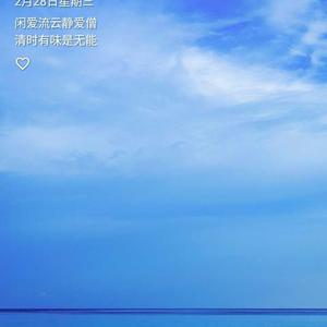 啊胖胖 