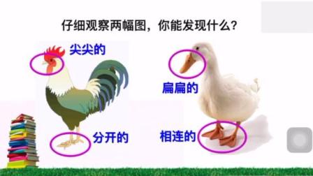 一年级语文微课.mp4
