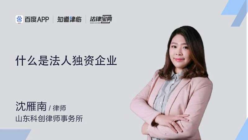 什么是法人独资企业